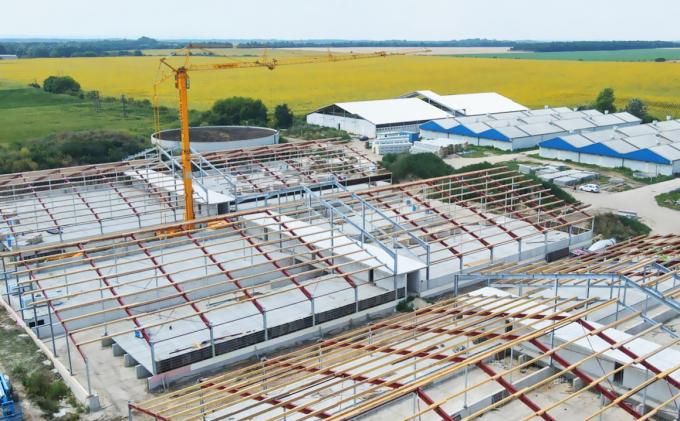 AutoCAD Designed Prefabricated Steel Structure Sheep Barn Farming Shed ...