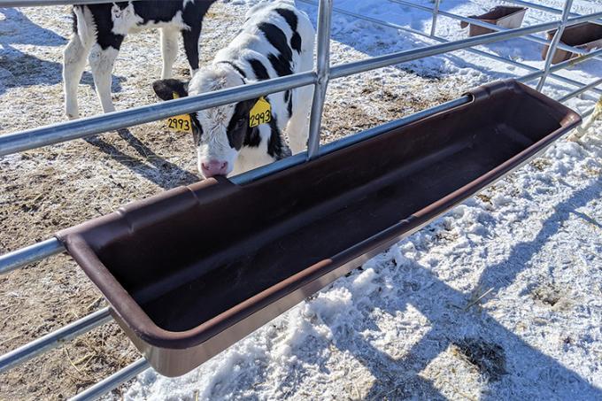 Modern Design Steel Structure Cow Cattle Dairy Milking Farm Shed ...