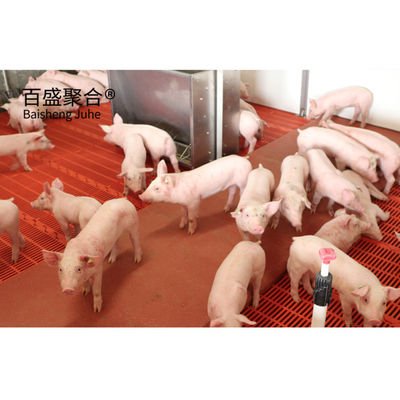 Steel Structure Piggery House Design for Pig Farming Tolerance ±1% MTS ...