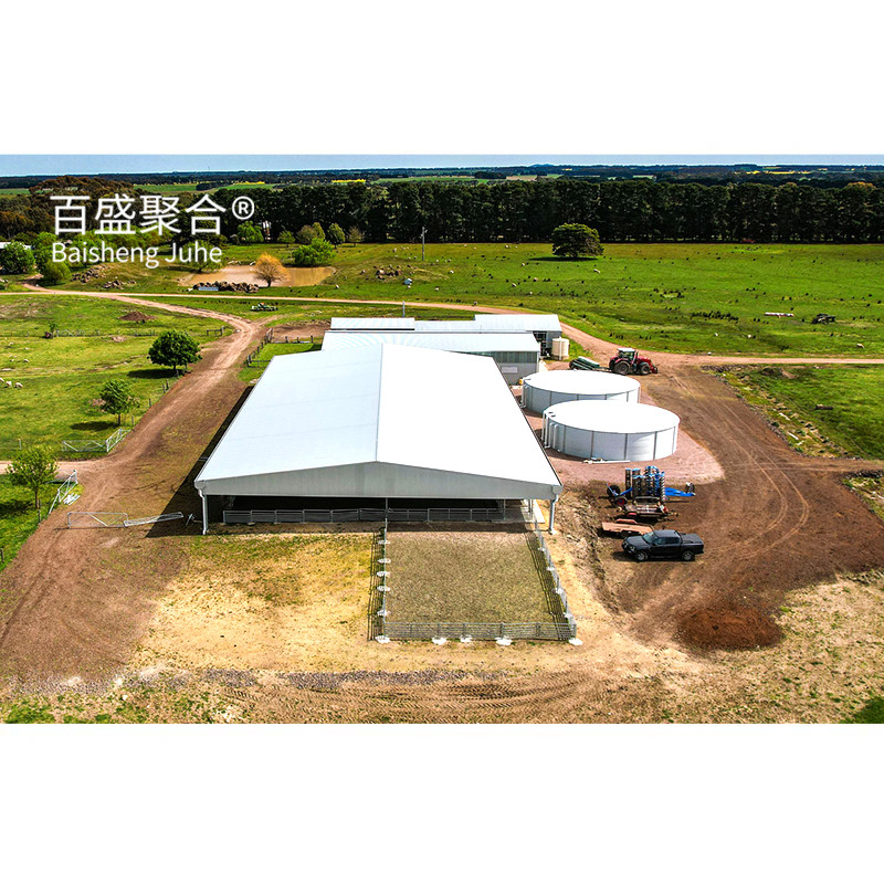 Metal Building Steel Structure Customized For Cattle Cow Shed / Sheep ...