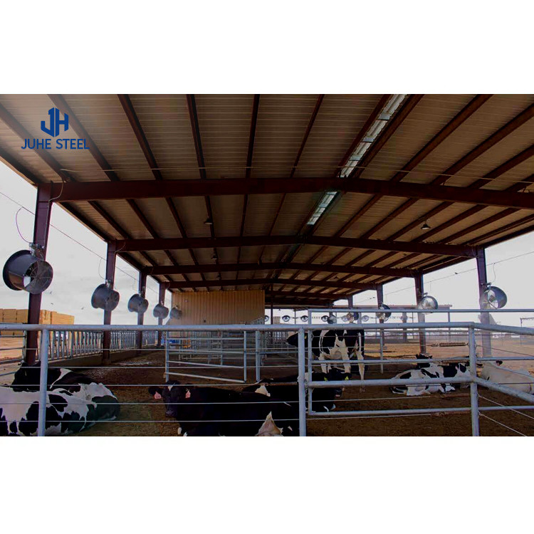 Customized Color Steel Structure Large Span Light Steel Frame for ...