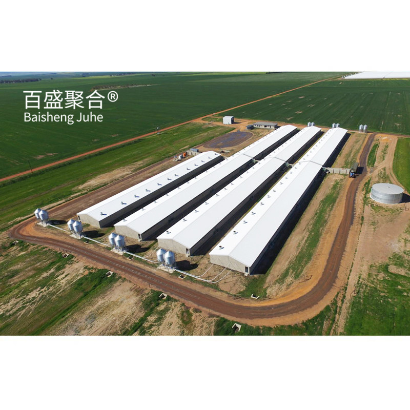 Farrowing Crate Steel Structure for Modern Farm Pig House Shed Hog Cote ...