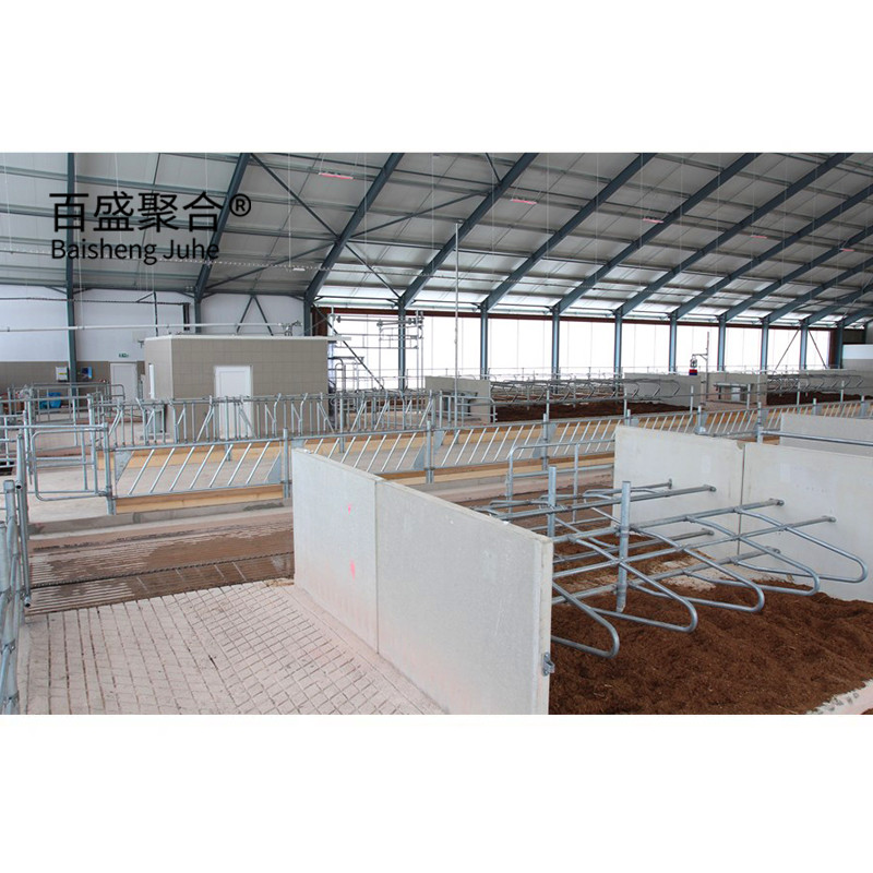 Heavy Prefabricated Steel Structure Cow Shed for MTS Drawing Design ...