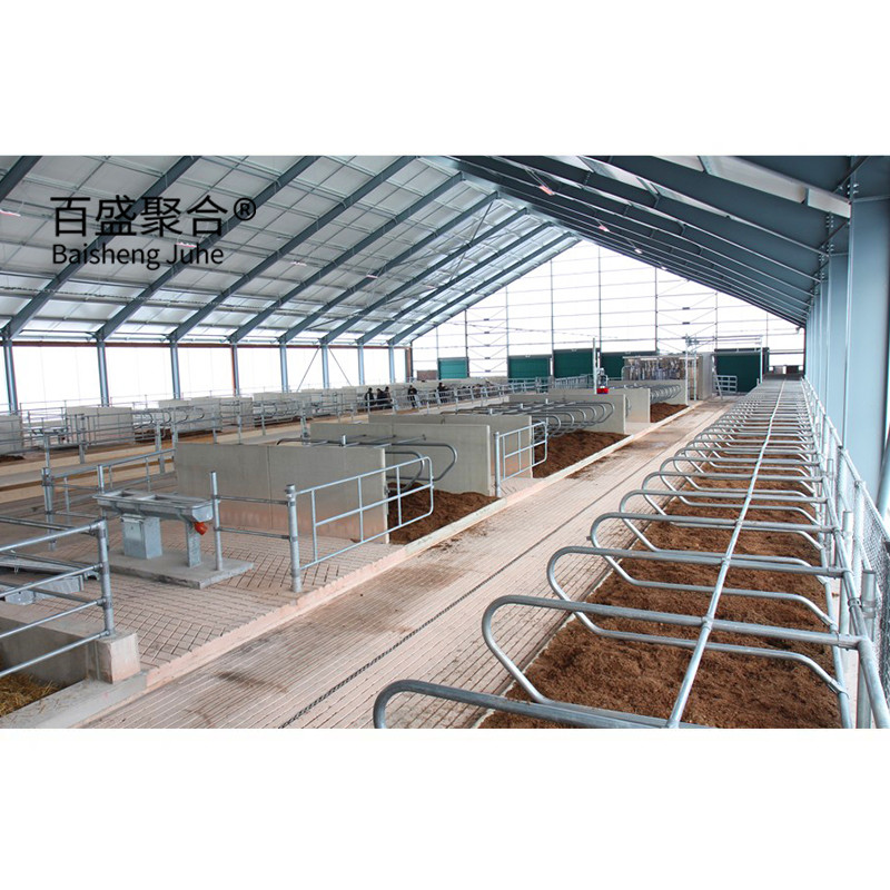 Heavy Prefabricated Steel Structure Cow Shed for MTS Drawing Design ...
