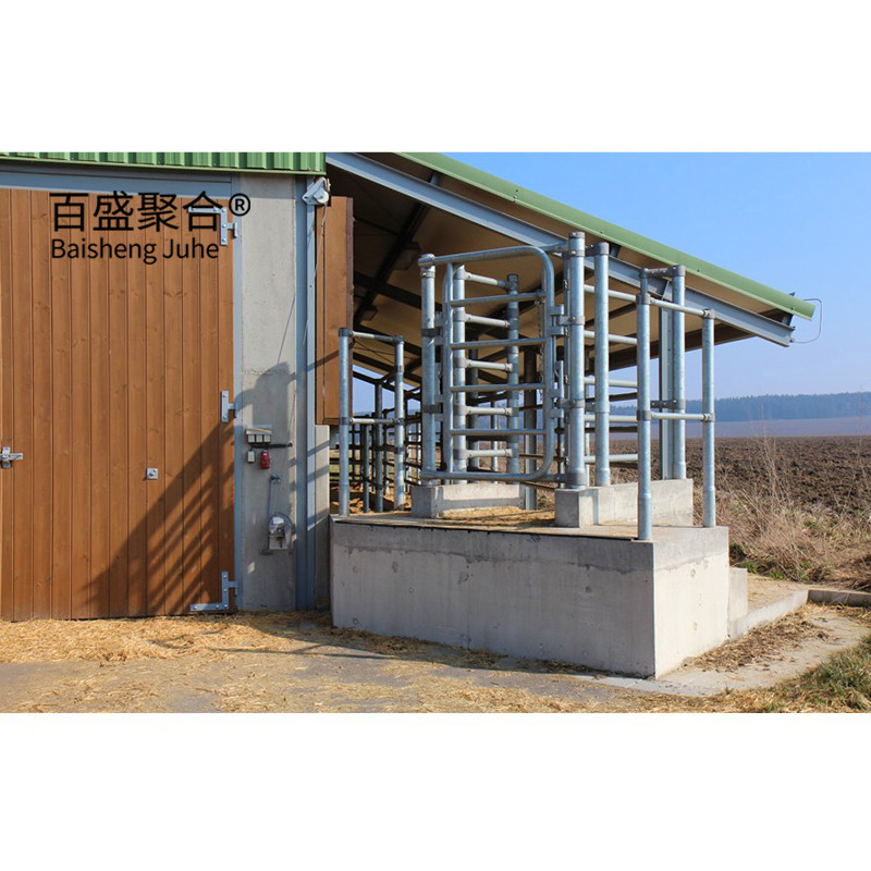 Heavy Prefabricated Steel Structure Cow Shed for MTS Drawing Design ...