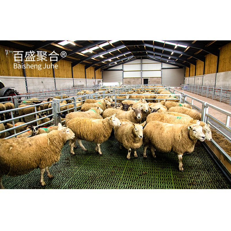 Custom Colors Steel Beams Prefab Animal Shed for Sheep/Cattle/Pig/Cow ...