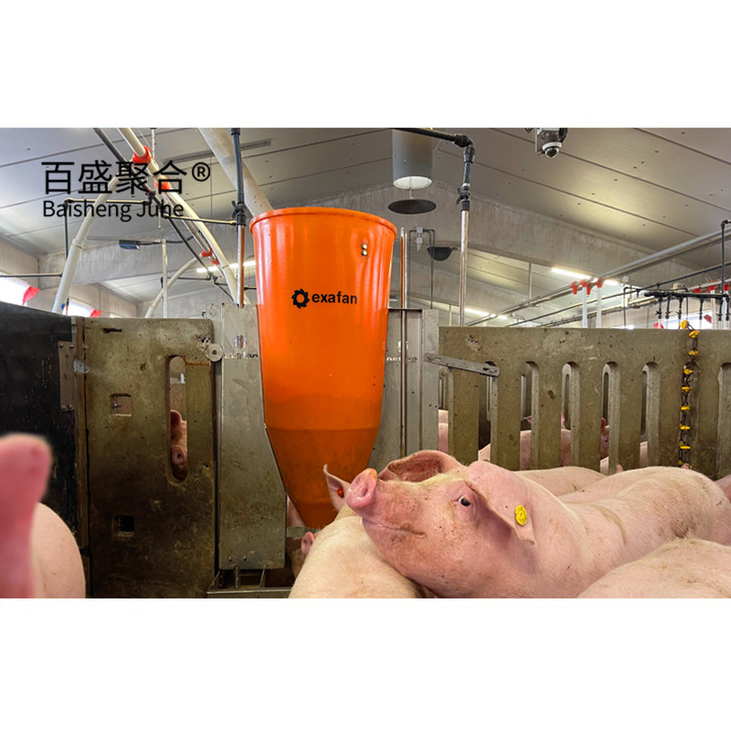 Steel Structure Piggery House Design for Pig Farming Tolerance ±1% MTS ...