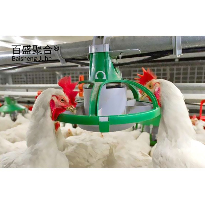 Light Steel Frame Broiler Poultry Shed with Sandwich Panel Roofing and ...