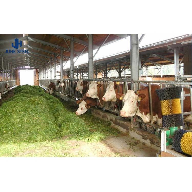 Sliding Door Steel Cattle Shed for Cow and Bull Solid H-shape Steel ...